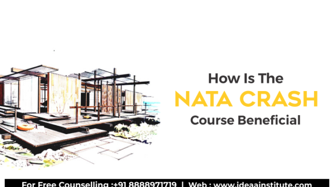 How is the NATA Crash Course Beneficial? - IID Pune